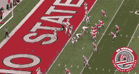Buckeyes GIFs - Get the best gif on GIFER