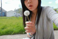 Reduce GIFs - Get the best gif on GIFER