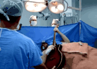 Patient GIFs - Get the best gif on GIFER