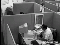 Option GIFs - Get the best gif on GIFER