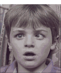 Marten GIFs - Get the best gif on GIFER