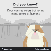 Facts GIFs - Get the best gif on GIFER