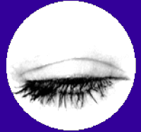 Eyeball GIFs - Get the best gif on GIFER