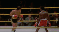 Rocky GIFs - Get the best gif on GIFER