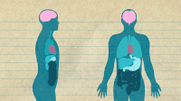 Anatomy GIFs - Get the best gif on GIFER