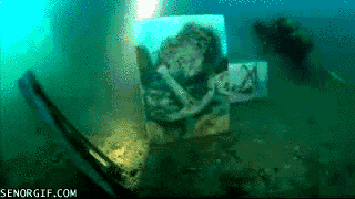 Russisch GIFs - Get the best gif on GIFER