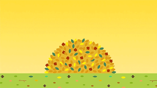 The acorn badge GIFs - Hole dir die besten GIFs auf GIFER