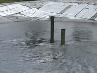 Wasser GIFs - Get the best gif on GIFER