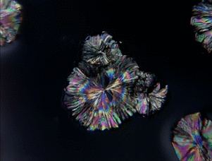 Science rocks GIF - Conseguir o melhor gif em GIFER