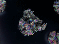 Mineral GIFs - Get the best gif on GIFER