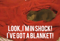 Protists GIFs - Get the best gif on GIFER