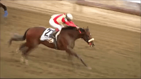 Kentucky derby GIFs - Get the best gif on GIFER