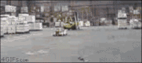 Forklift GIFs - Get the best gif on GIFER