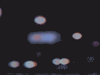 Blurry GIFs - Get the best gif on GIFER