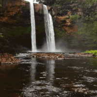Pule GIFs - Get the best gif on GIFER