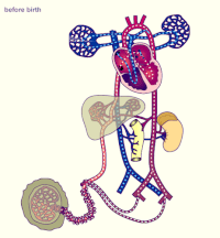 System GIFs - Get the best gif on GIFER