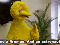Big bird GIFs - Get the best gif on GIFER
