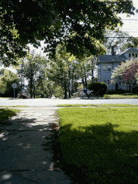 Outdoors GIFs - Get the best gif on GIFER