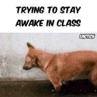 Awake GIFs - Get the best gif on GIFER