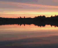 Chassis GIFs - Get the best gif on GIFER