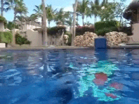 Retrieve GIFs - Get the best gif on GIFER