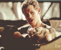 Klefan GIFs - Get the best gif on GIFER