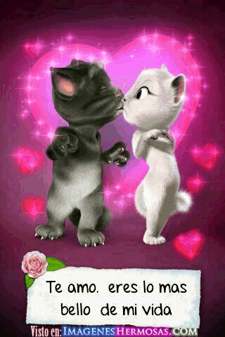 Amas GIF - Conseguir o melhor gif em GIFER