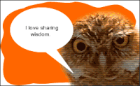 Wisdom GIFs - Get the best gif on GIFER