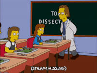 Inspect GIFs - Get the best gif on GIFER