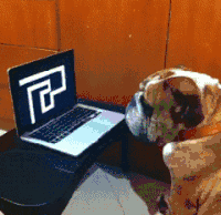 Flinching GIFs - Get the best gif on GIFER