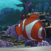 Nemo GIFs - Get the best gif on GIFER