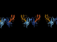 Protein GIFs - Get the best gif on GIFER