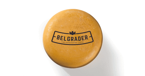 Beograd GIFs - Get the best gif on GIFER