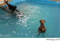 Cardboard GIFs - Get the best gif on GIFER