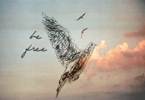 Eternity GIFs - Get the best gif on GIFER