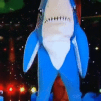 How does left shark not have his own show GIF - Conseguir o melhor gif ...