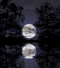 Most Popular Good Night GIFs - Get the best gif on GIFER