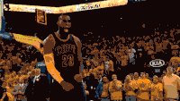 Basketball GIFs - Get the best gif on GIFER