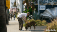 Goliath GIFs - Get the best gif on GIFER