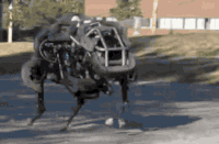 Fast GIFs - Get the best gif on GIFER