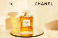Chanel GIF - Conseguir o melhor gif em GIFER