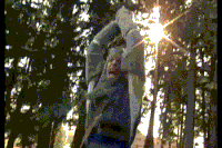 Larping GIFs - Get the best gif on GIFER