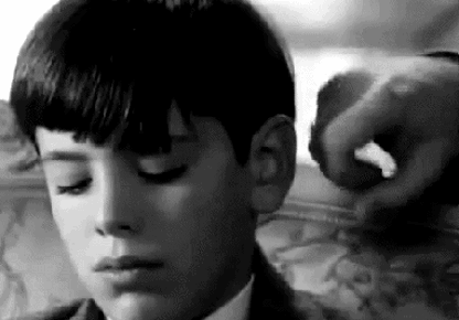 Acoso GIFs - Get the best gif on GIFER