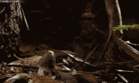 Mushroom GIFs - Get the best gif on GIFER