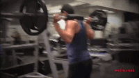 Bulk GIFs - Obtenez le meilleur gif sur GIFER