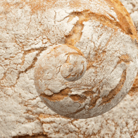 Bread GIFs - Get the best gif on GIFER