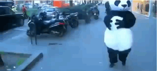 Pandawan GIFs - Get the best gif on GIFER