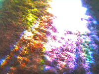 Prism GIFs - Get the best gif on GIFER