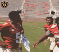 Stability GIFs - Get the best gif on GIFER