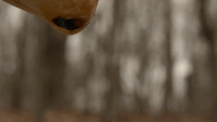 Sap GIFs - Get the best gif on GIFER